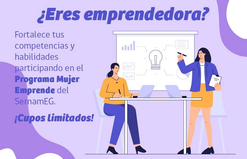 Programa Mujer Emprende 2025: Creando oportunidades a emprendedoras » Bonos del Gobierno de Chile